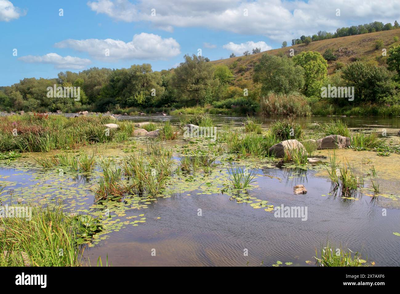 The photo was taken in Ukraine. The picture shows the shallow river bed ...
