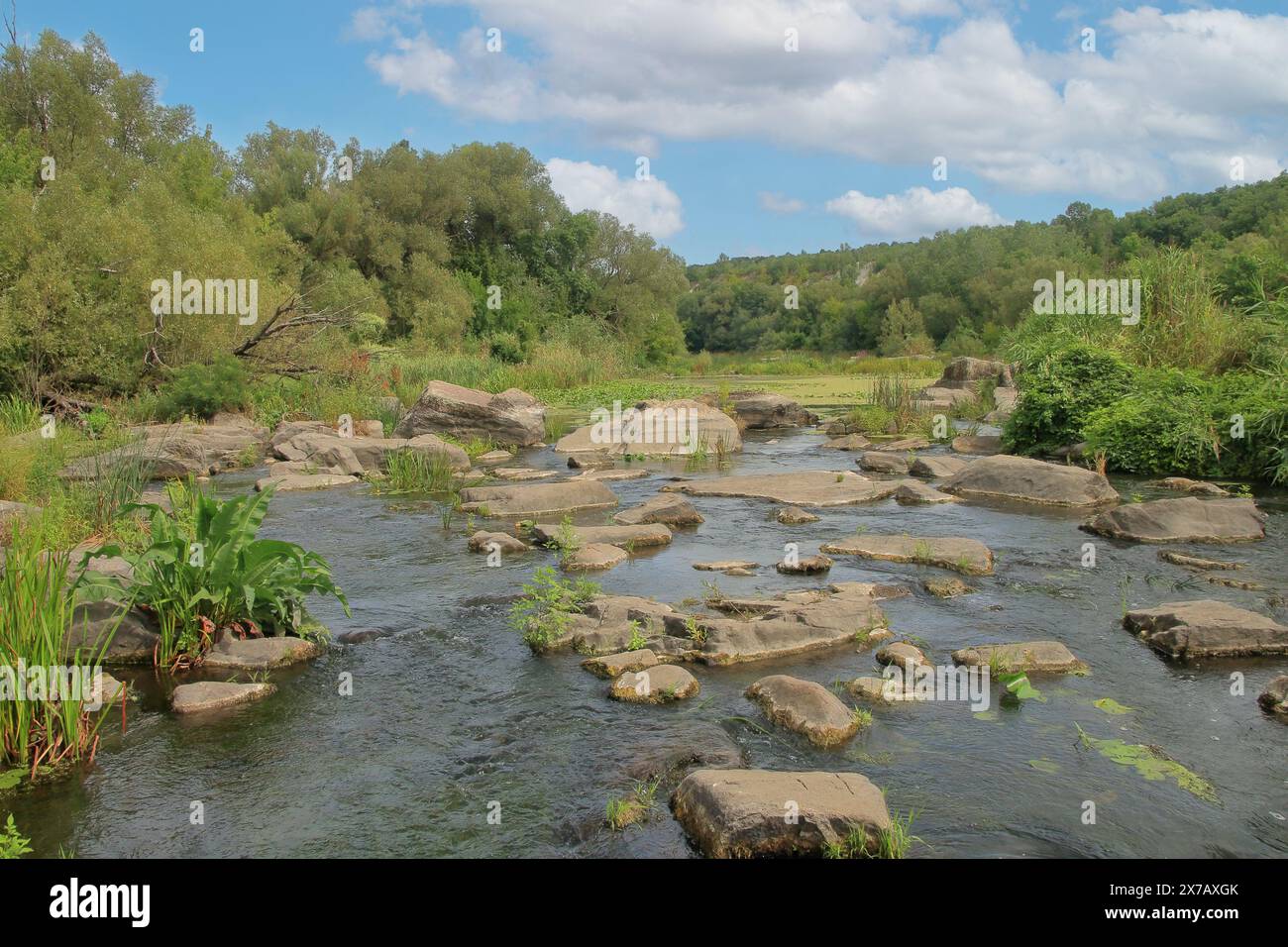 The photo shows the shallowed Southern Bug River in Ukraine Stock Photo ...