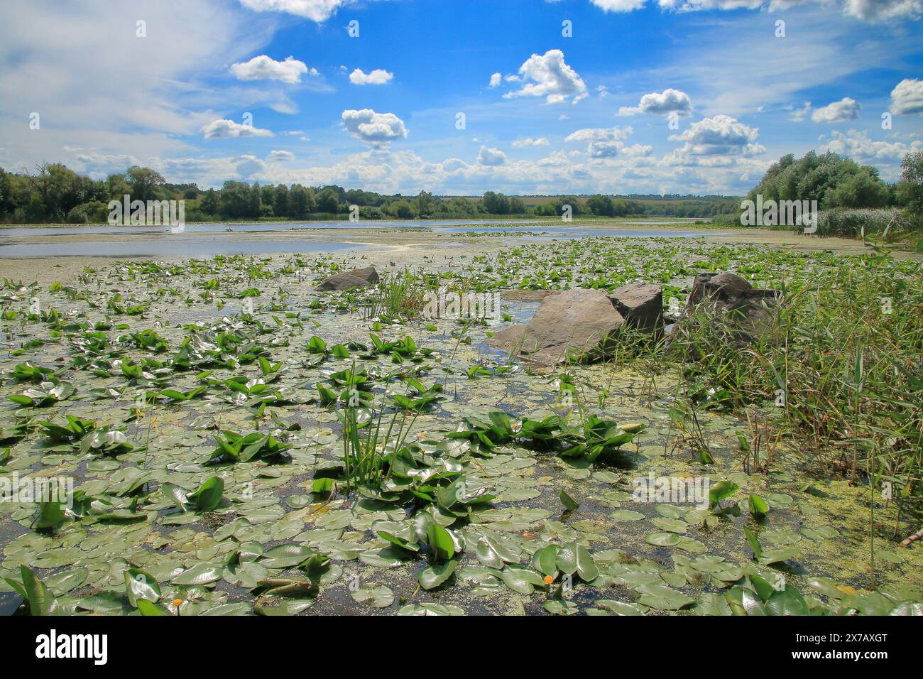 The photo was taken in Ukraine. The picture shows the shallow river bed ...