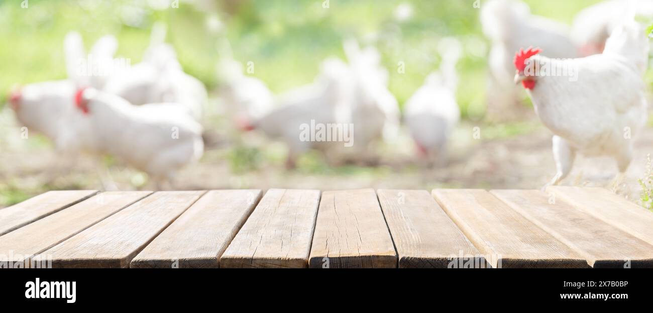 Empty old wooden table and chicken farm background. Summer day Stock ...