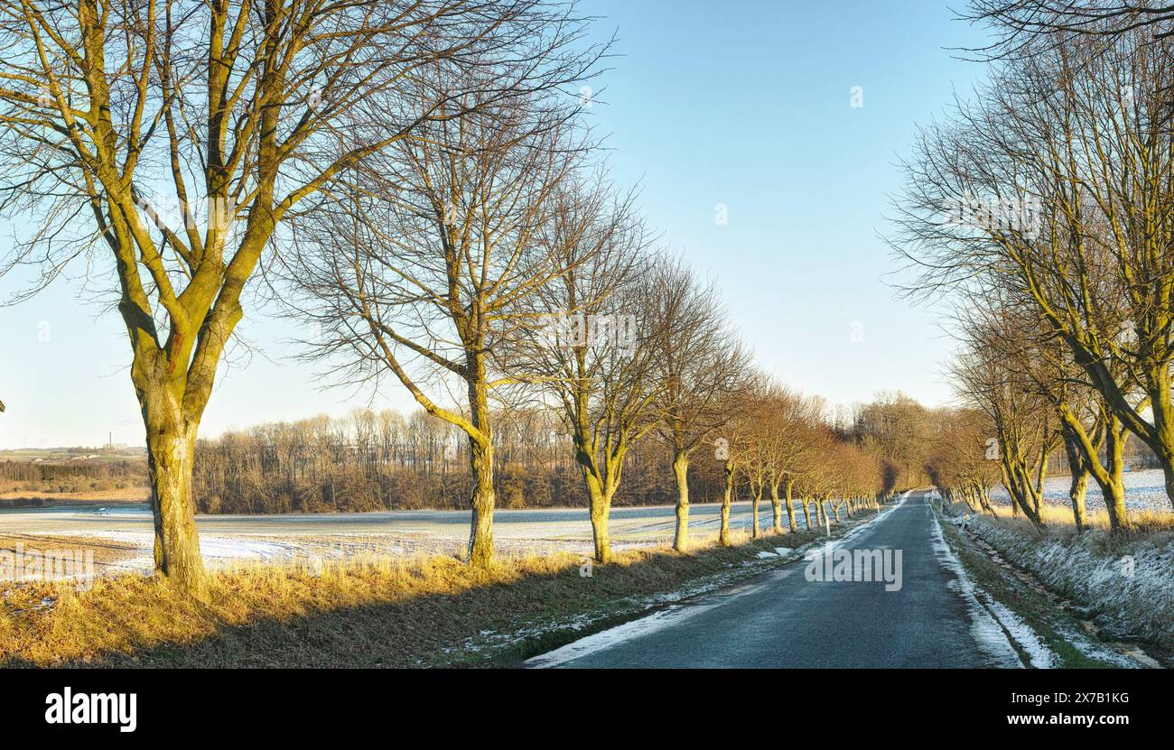 Winter, countryside and road with snow melting in nature, forest and ...