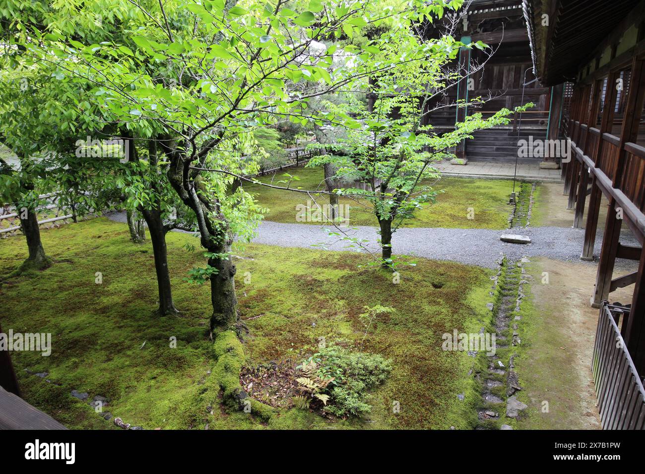 Moss garden in Seiryoji Temple, Kyoto, Japan Stock Photo - Alamy