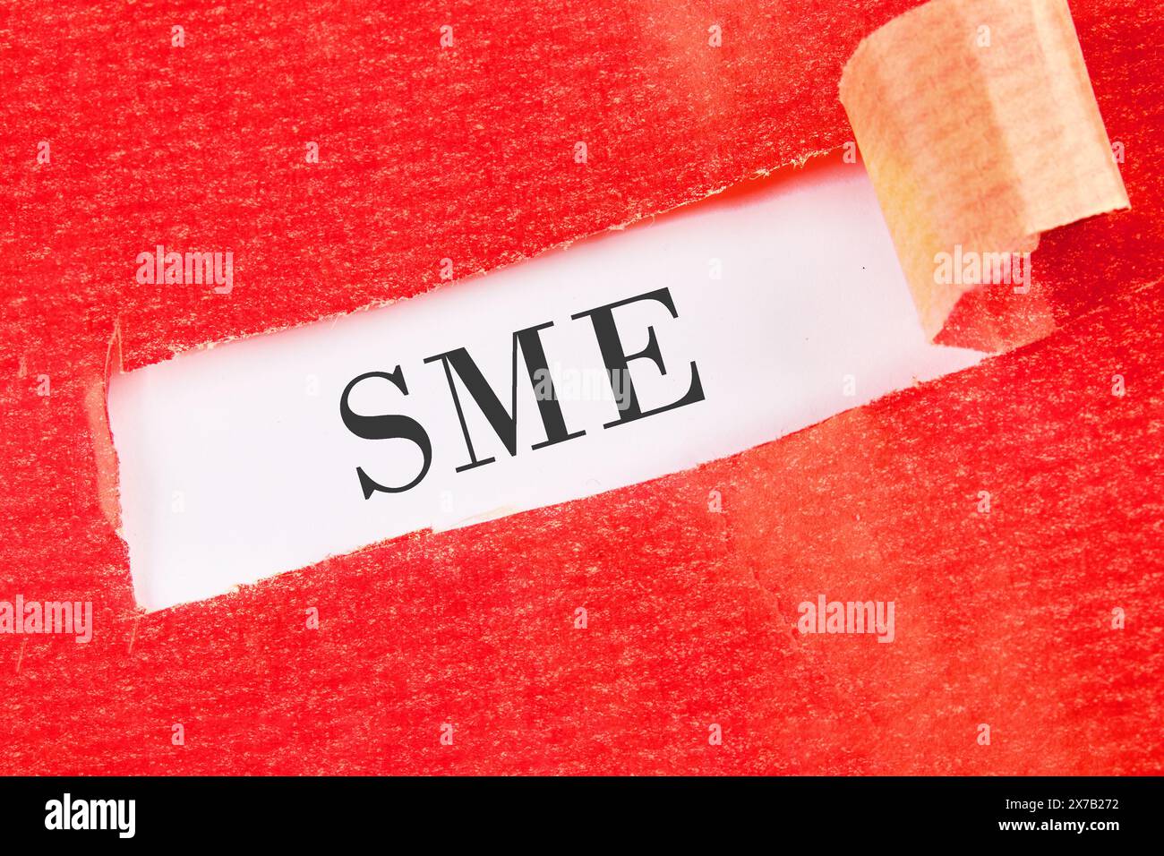 Conceptual image. Business Acronym SME as Subject Matter Expert. under ...