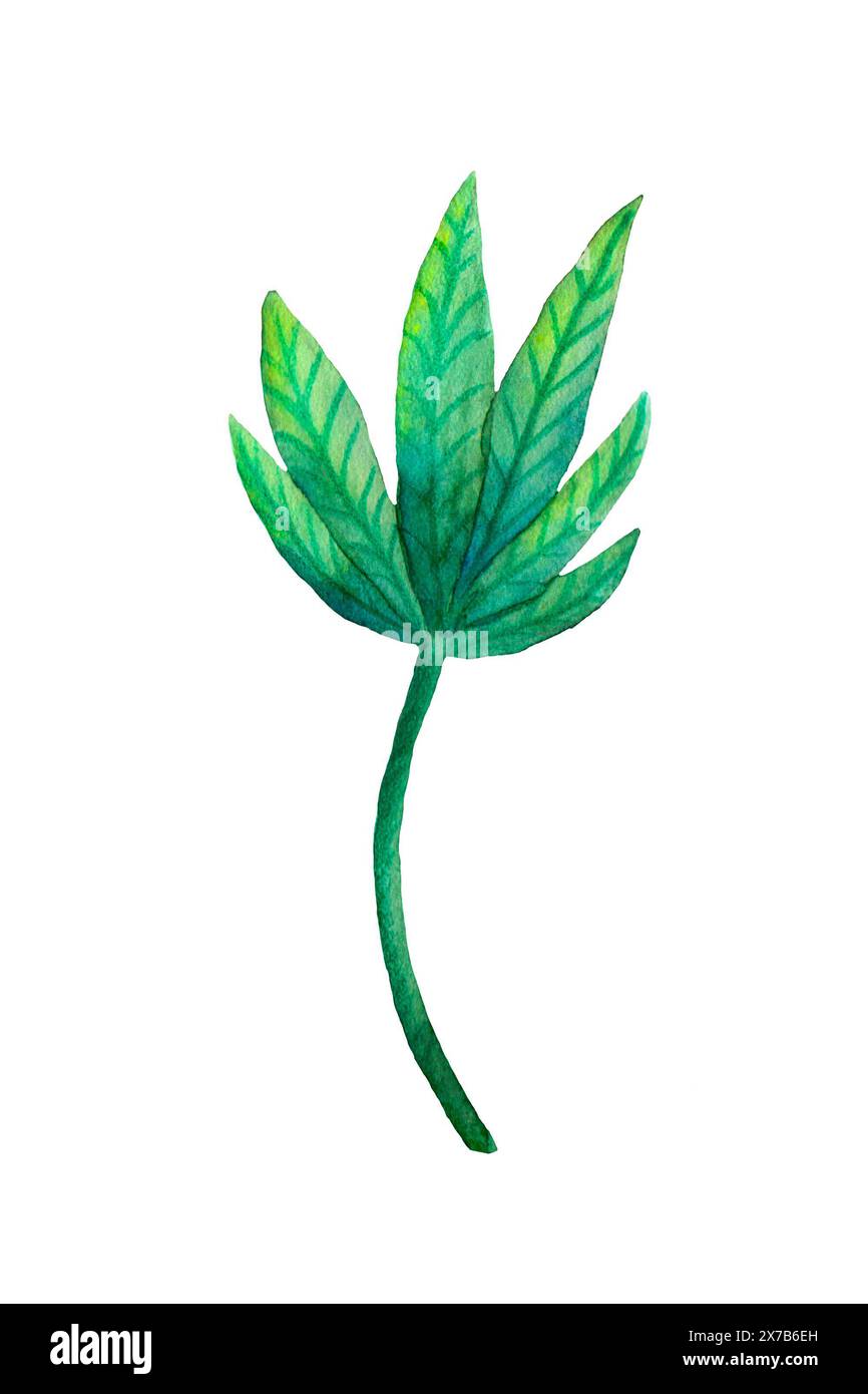 Showcasing veins Cut Out Stock Images & Pictures - Alamy