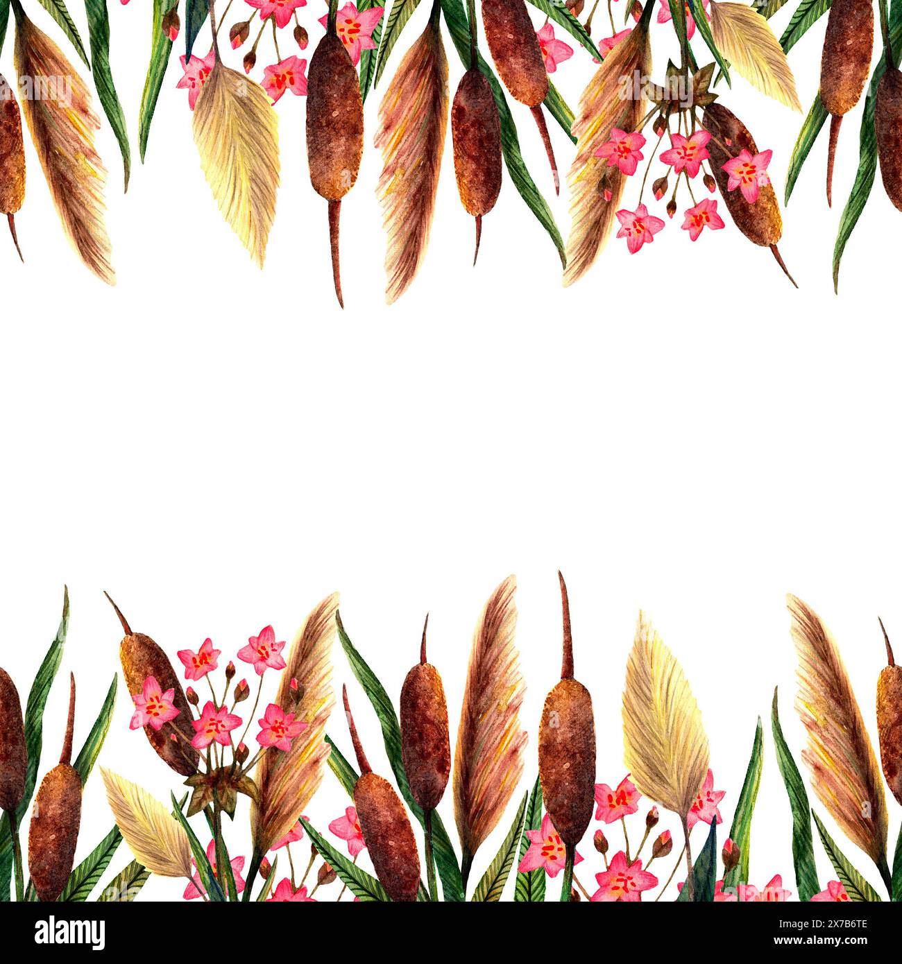 Botanical watercolor border with cattails and pink flowers, great for ...