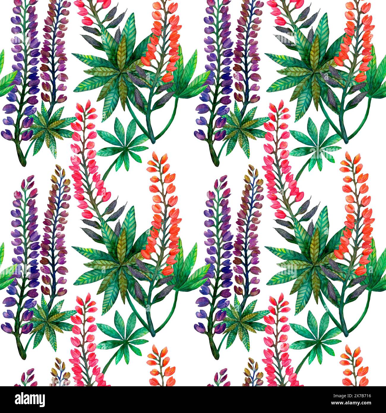 Continuous blooms Cut Out Stock Images & Pictures - Alamy