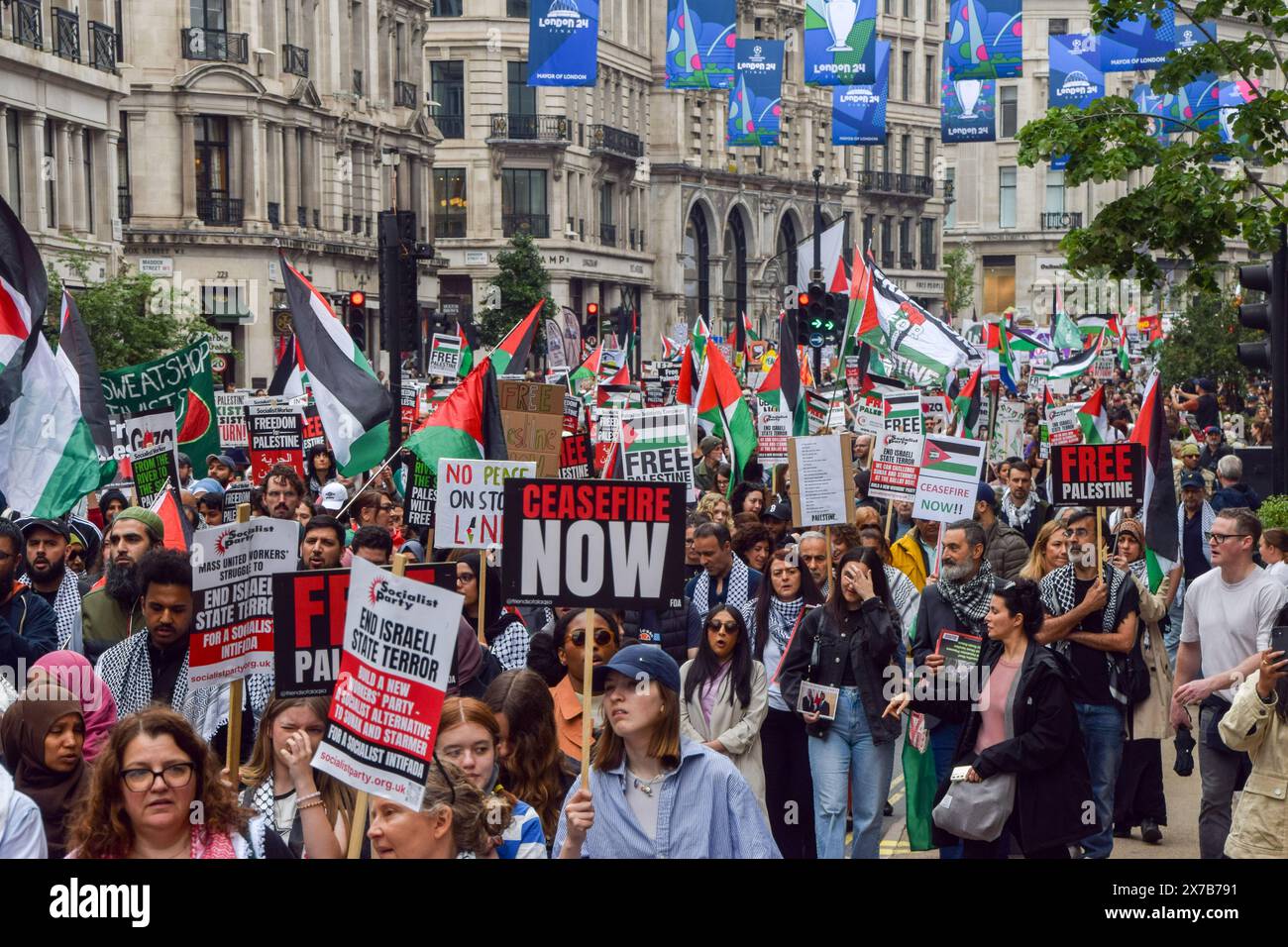 Pro-Palestine protesters hold Palestinian flags and placards in support ...