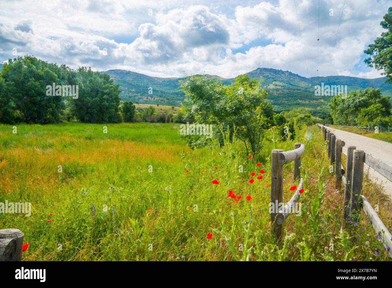 Landscape. Pinilla del Valle, Madrid province, Spain Stock Photo - Alamy