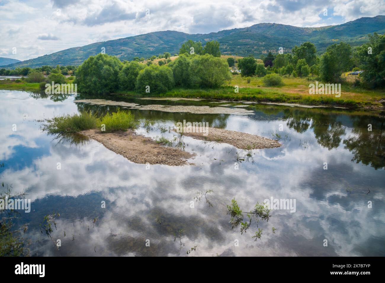 Pinilla hi-res stock photography and images - Alamy