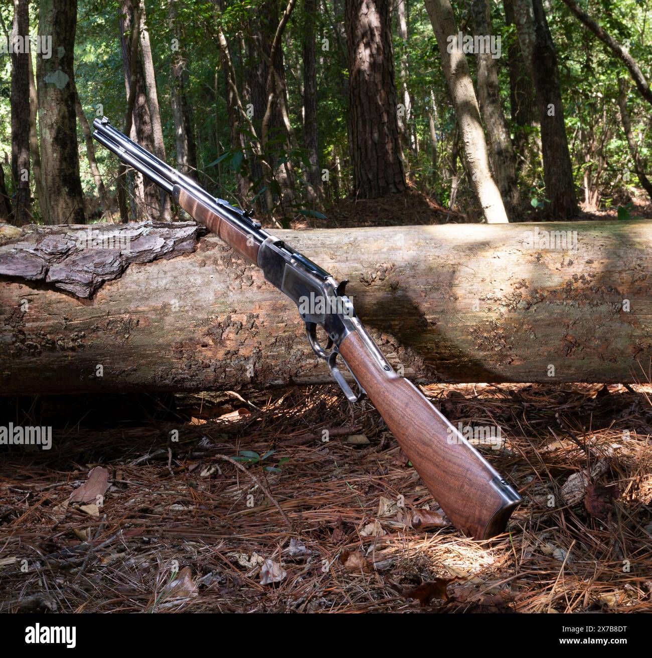 Cowboy lever action rifle that is carbine length against a dead tree in ...