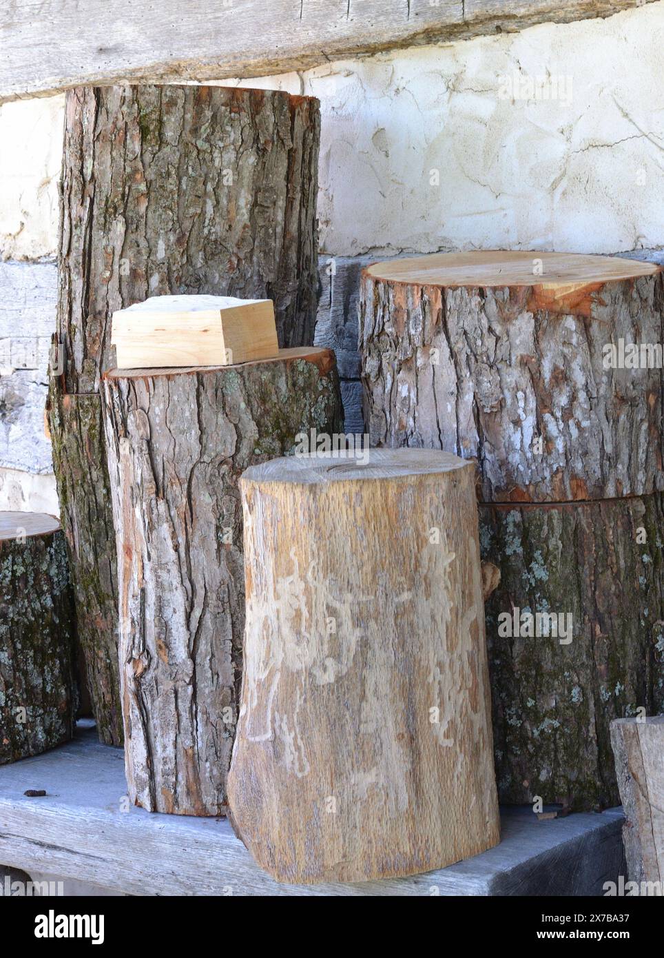 Short logs ready to be split for firewood Stock Photo - Alamy