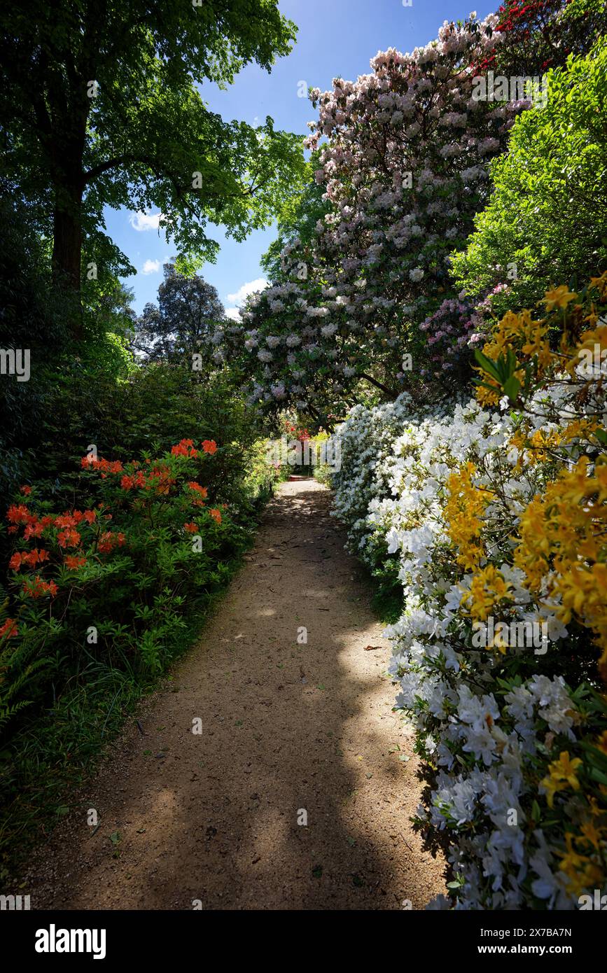 Leonardslee Lakes and Gardens Horsham Sussex UK Stock Photo - Alamy