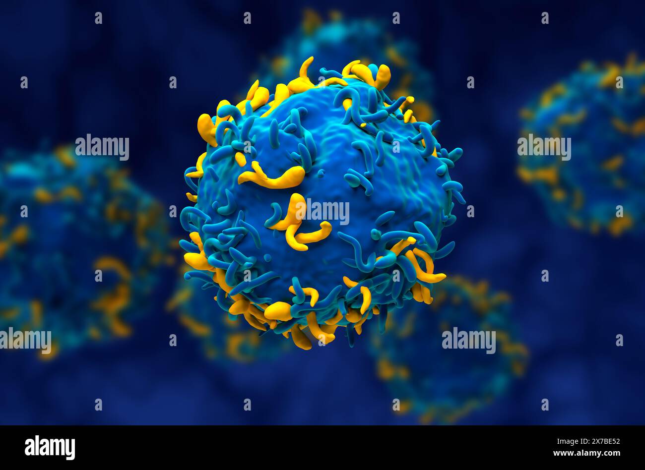 CAR T cells - Closeup view 3d illustration Stock Photo - Alamy