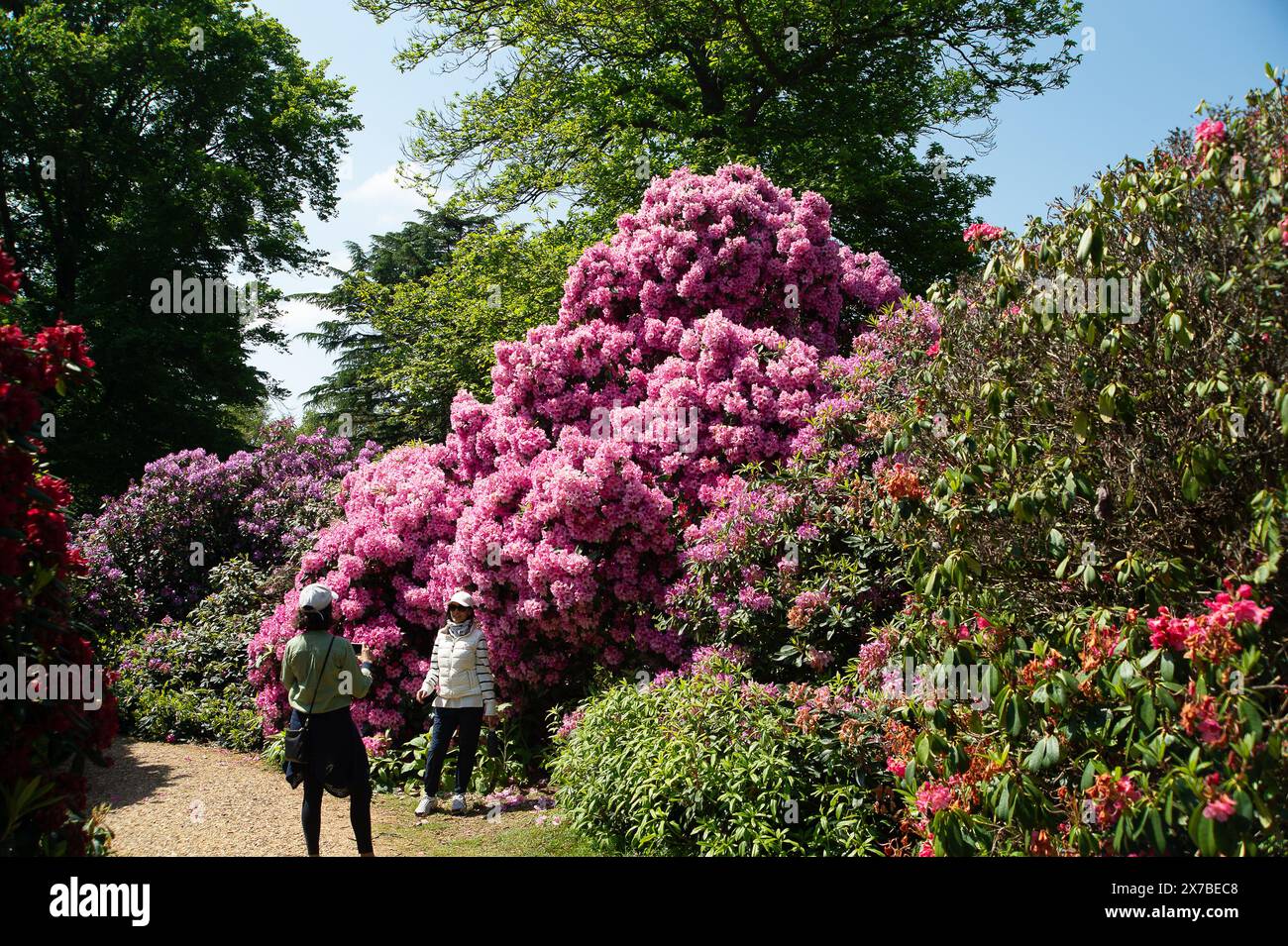 Iver, UK. 19th May, 2024. It was a beautiful sunny and warm day in ...