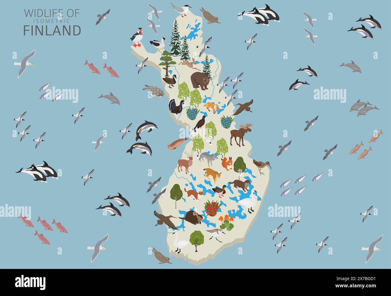 Baltic bear Stock Vector Images - Alamy