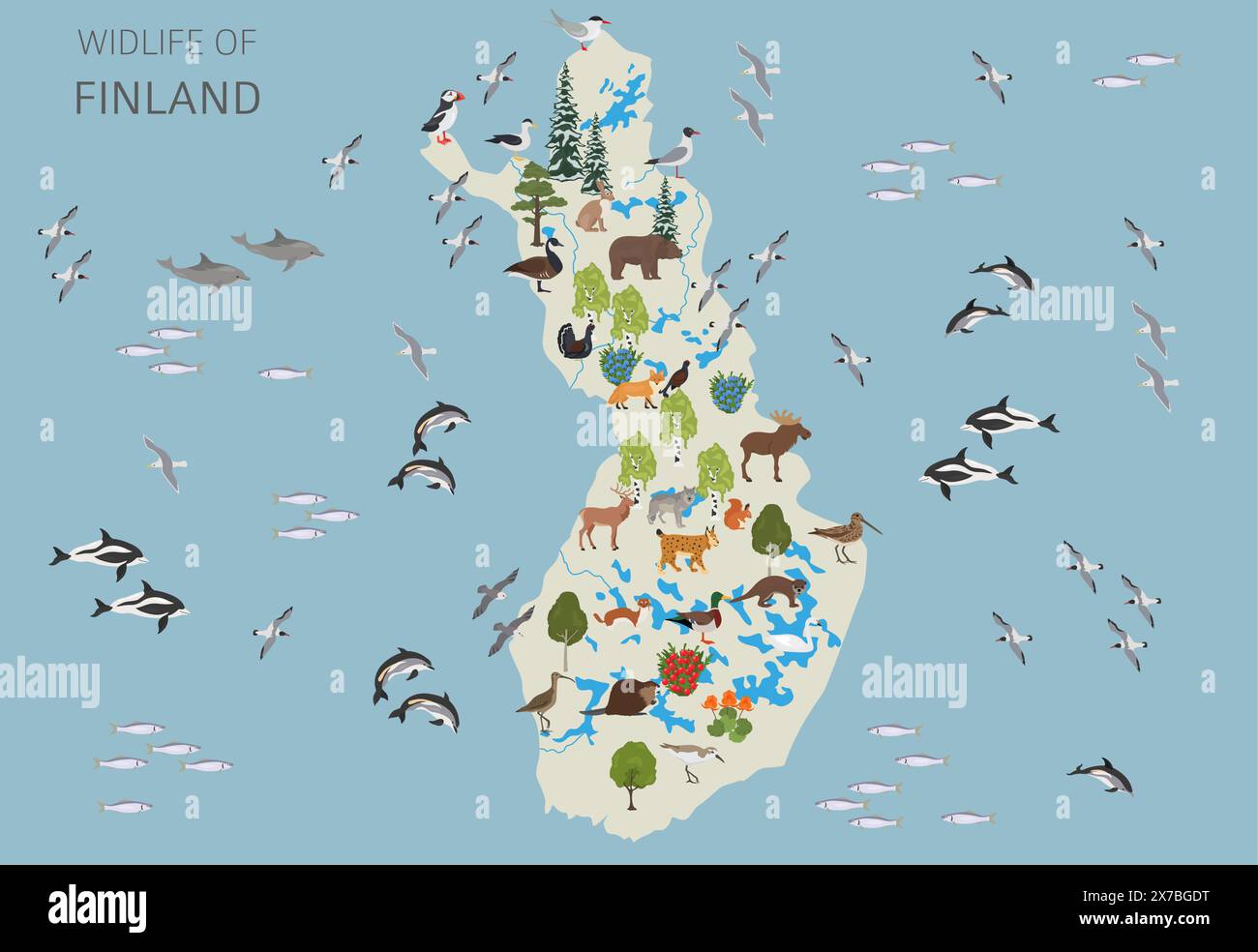 Flat design of Finland wildlife. Animals, birds and plants constructor ...