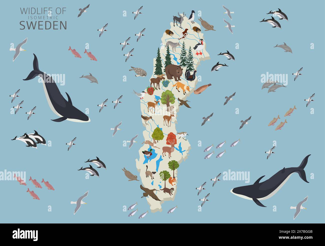 Sweden wildlife isometric geography. Animals, birds and plants ...
