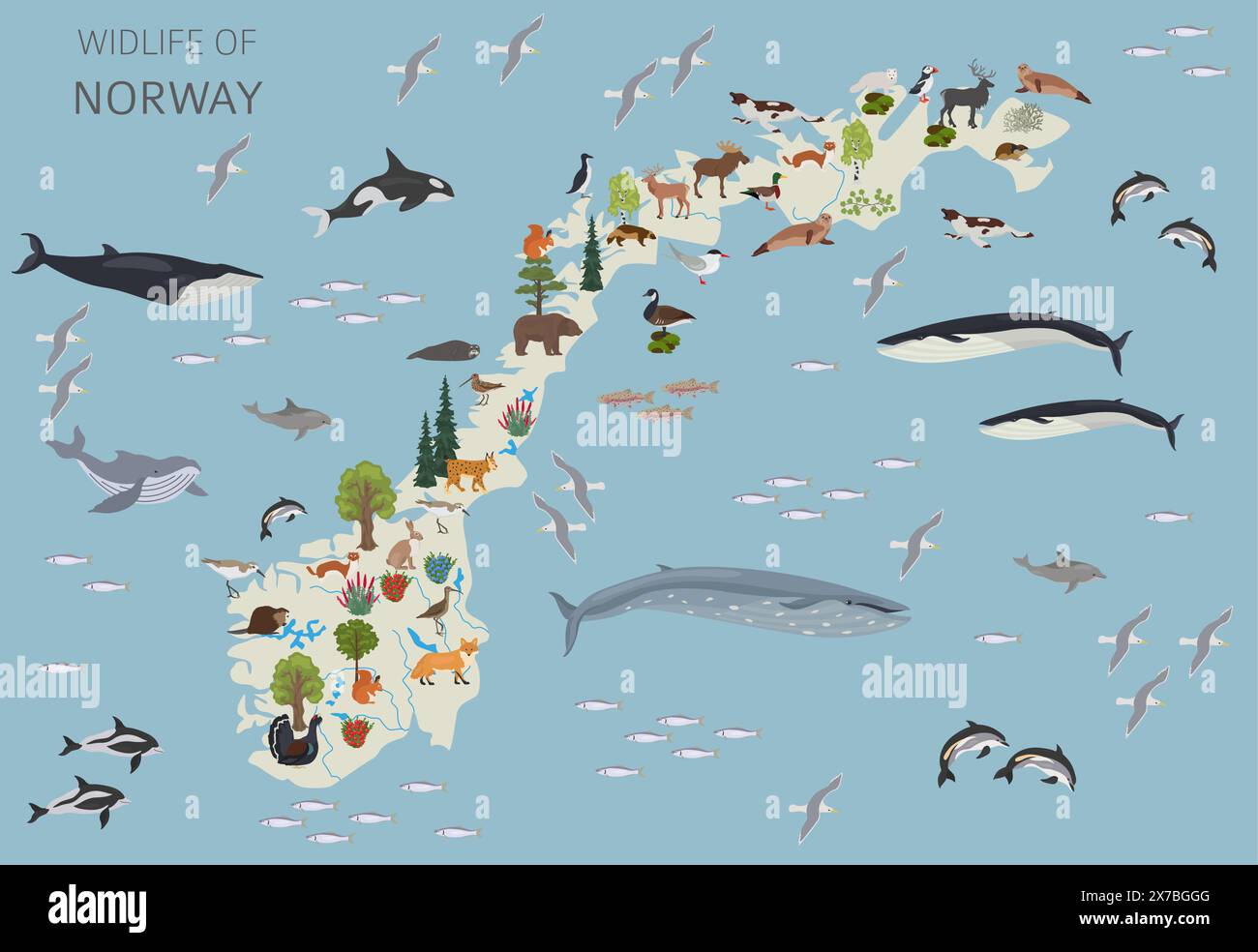 Norway wildlife geography. Animals, birds and plants constructor ...