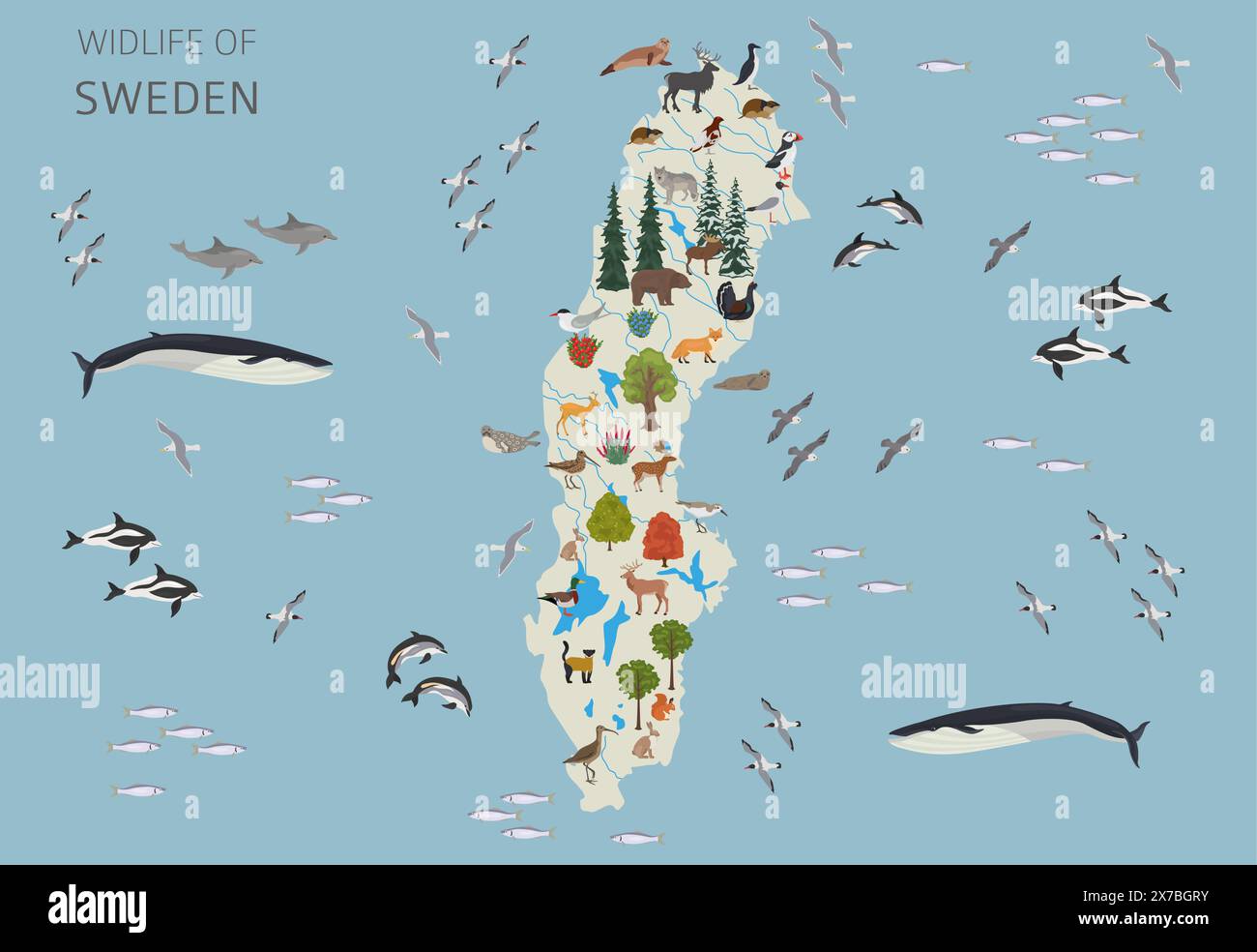 Sweden wildlife geography. Animals, birds and plants constructor ...