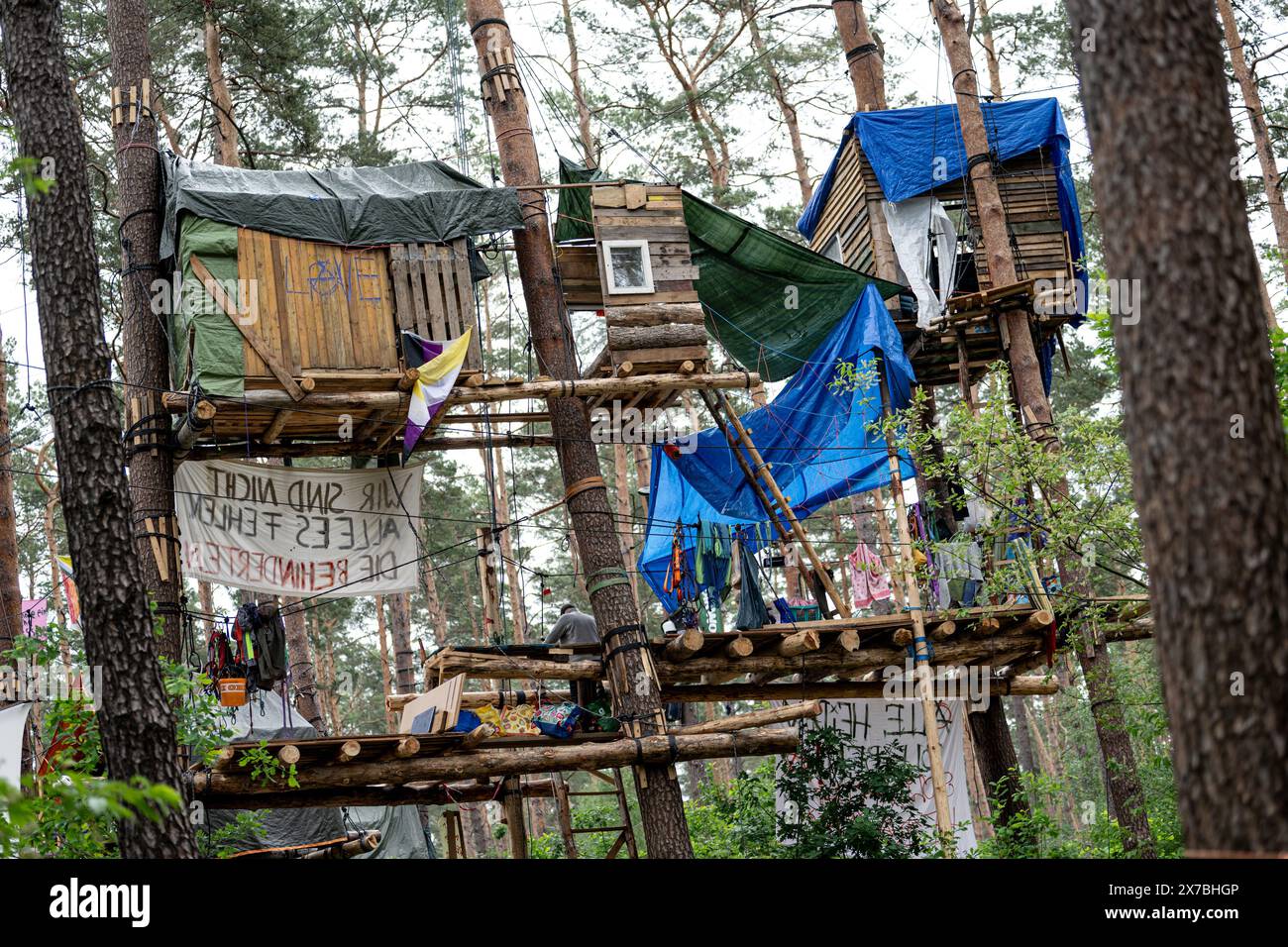 19 May 2024, Brandenburg, Grünheide: View of tree houses at the protest ...