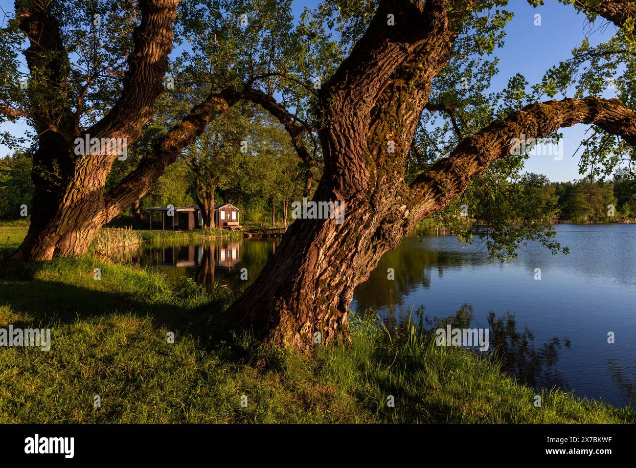 See Treuer Nachbarsteich Harzgerode Straßberg Stock Photo - Alamy
