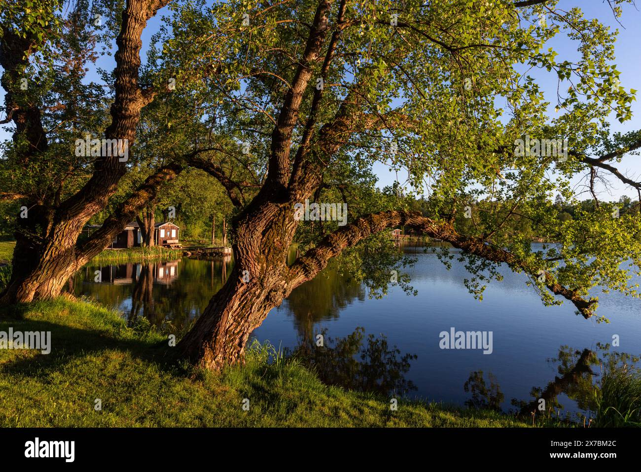 See Treuer Nachbarsteich Harzgerode Straßberg Stock Photo - Alamy