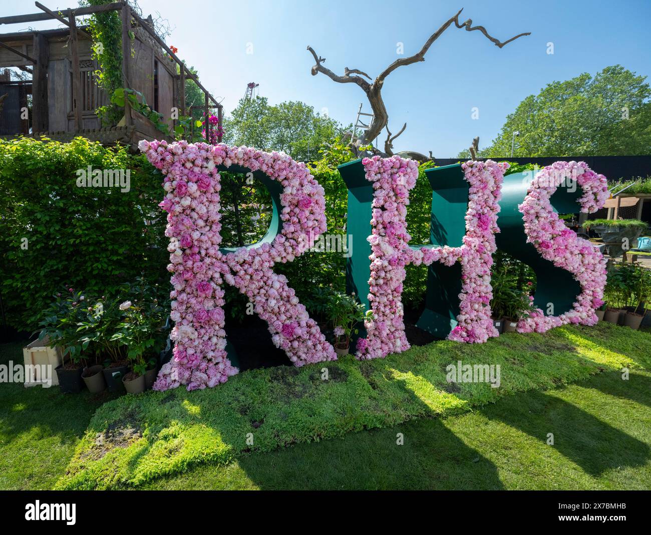 Royal Hospital, Chelsea, London, UK. 19th May, 2024. Finishing touches ...