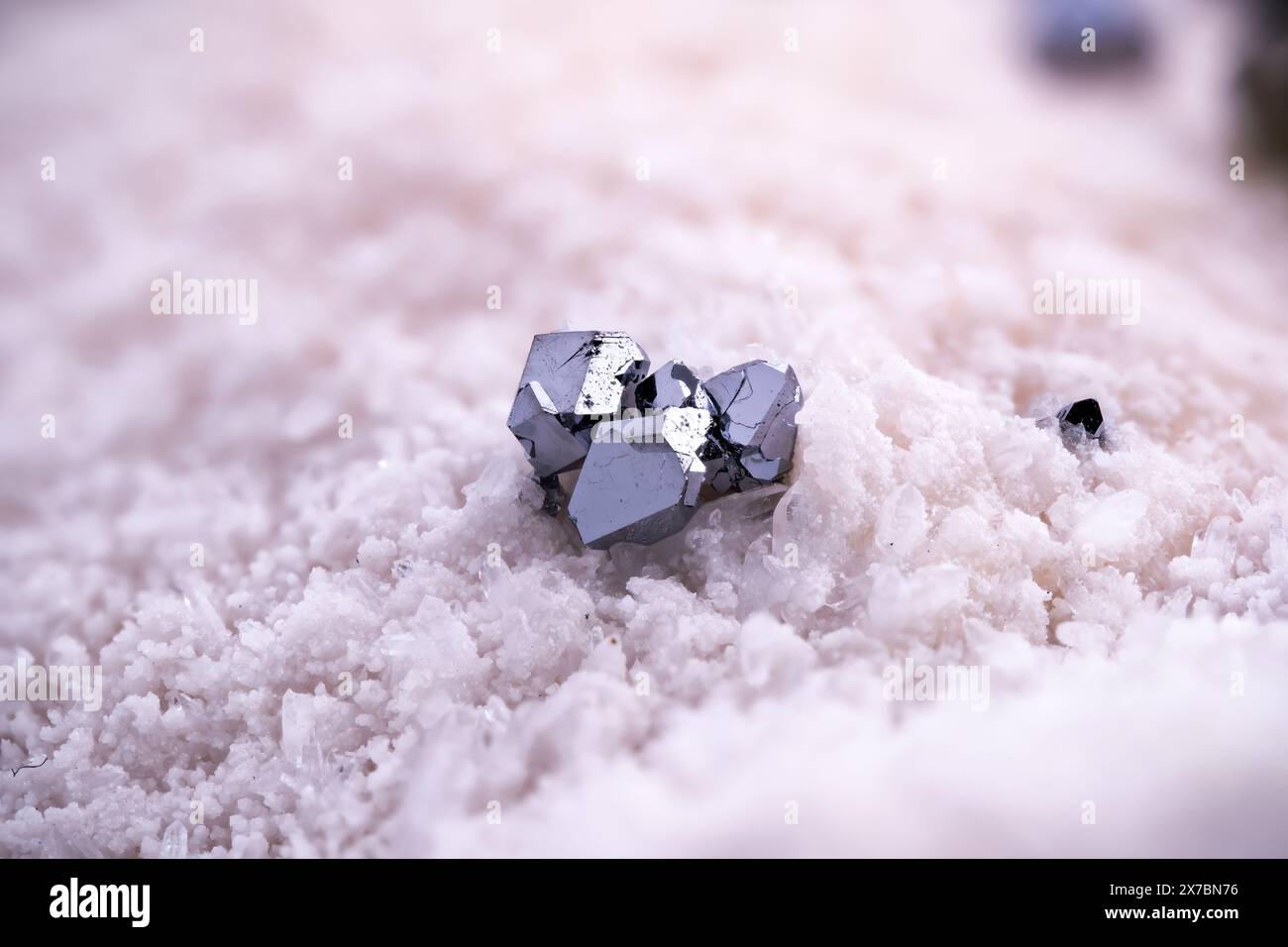 galena on white dolomite and quartz from Krushev Dol mine, Madan, Bulgaria. macro photography ...