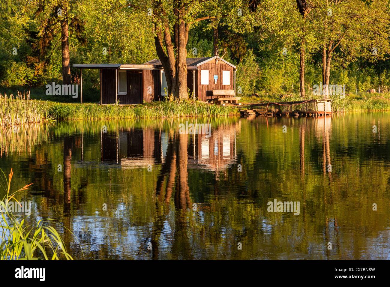 See Treuer Nachbarsteich Harzgerode Straßberg Stock Photo - Alamy