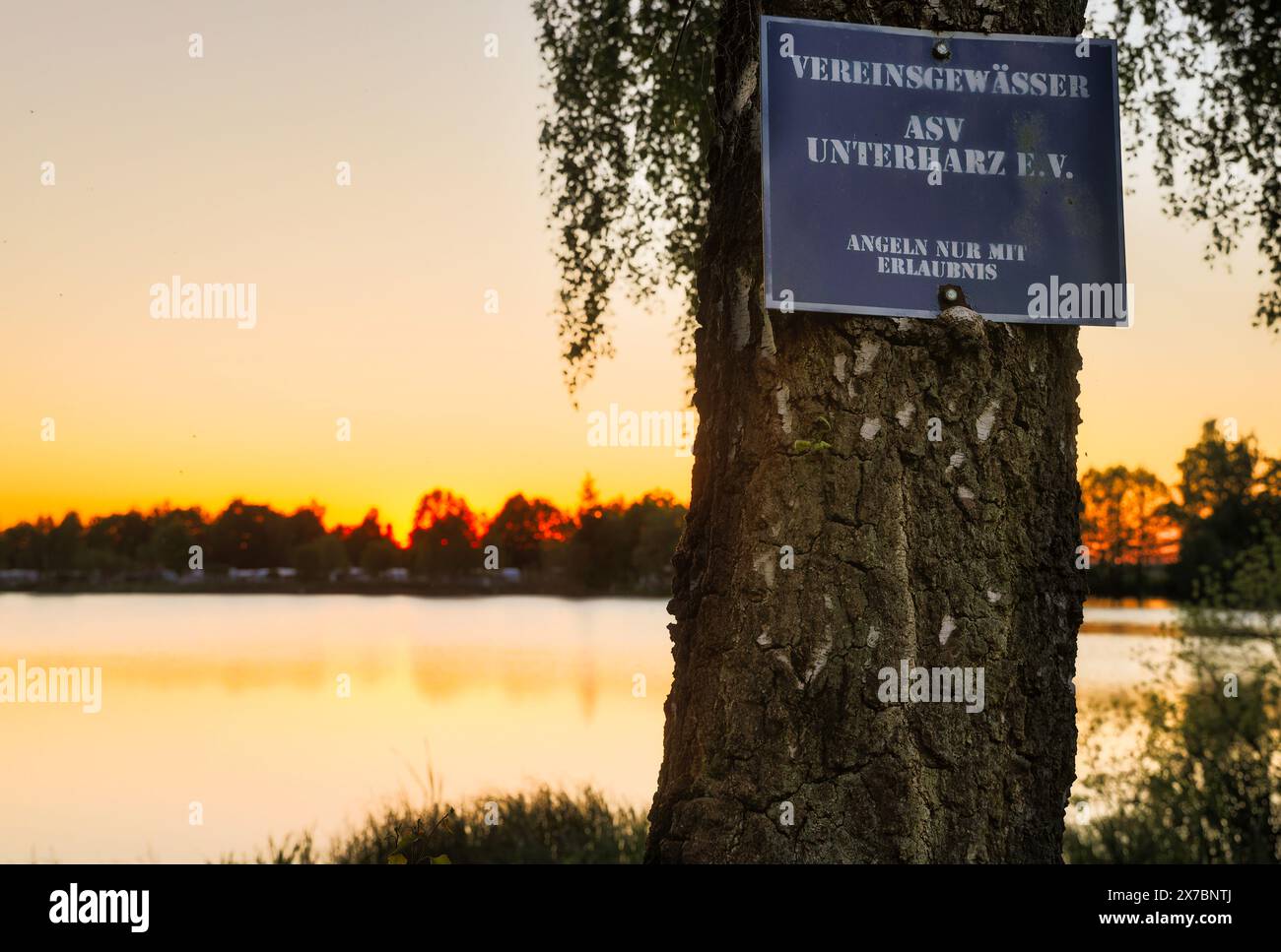 See Treuer Nachbarsteich Harzgerode Straßberg Stock Photo - Alamy