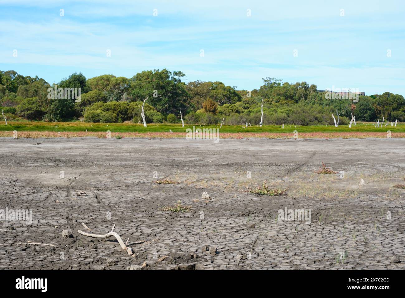 The dry bed of Lake Claremont still dry in late autumn following a very ...