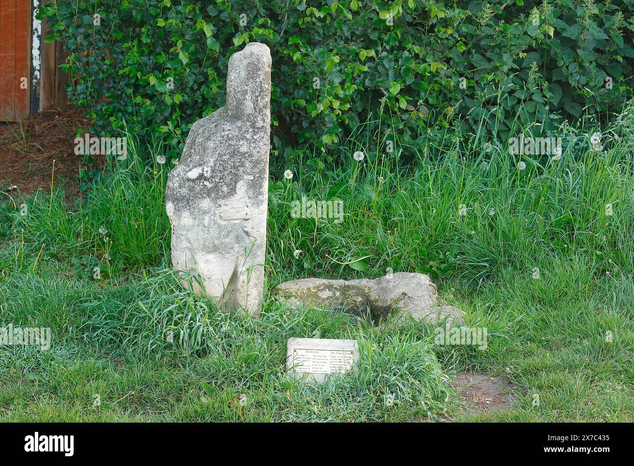 The Plague Stone & Hob Stone located on Hob Moor in the City of York ...
