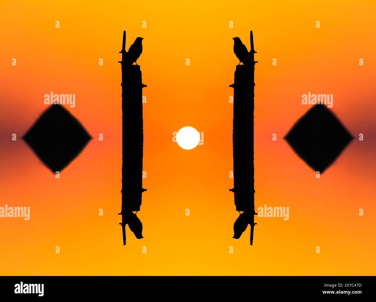Photoshop manipulation hi-res stock photography and images - Alamy