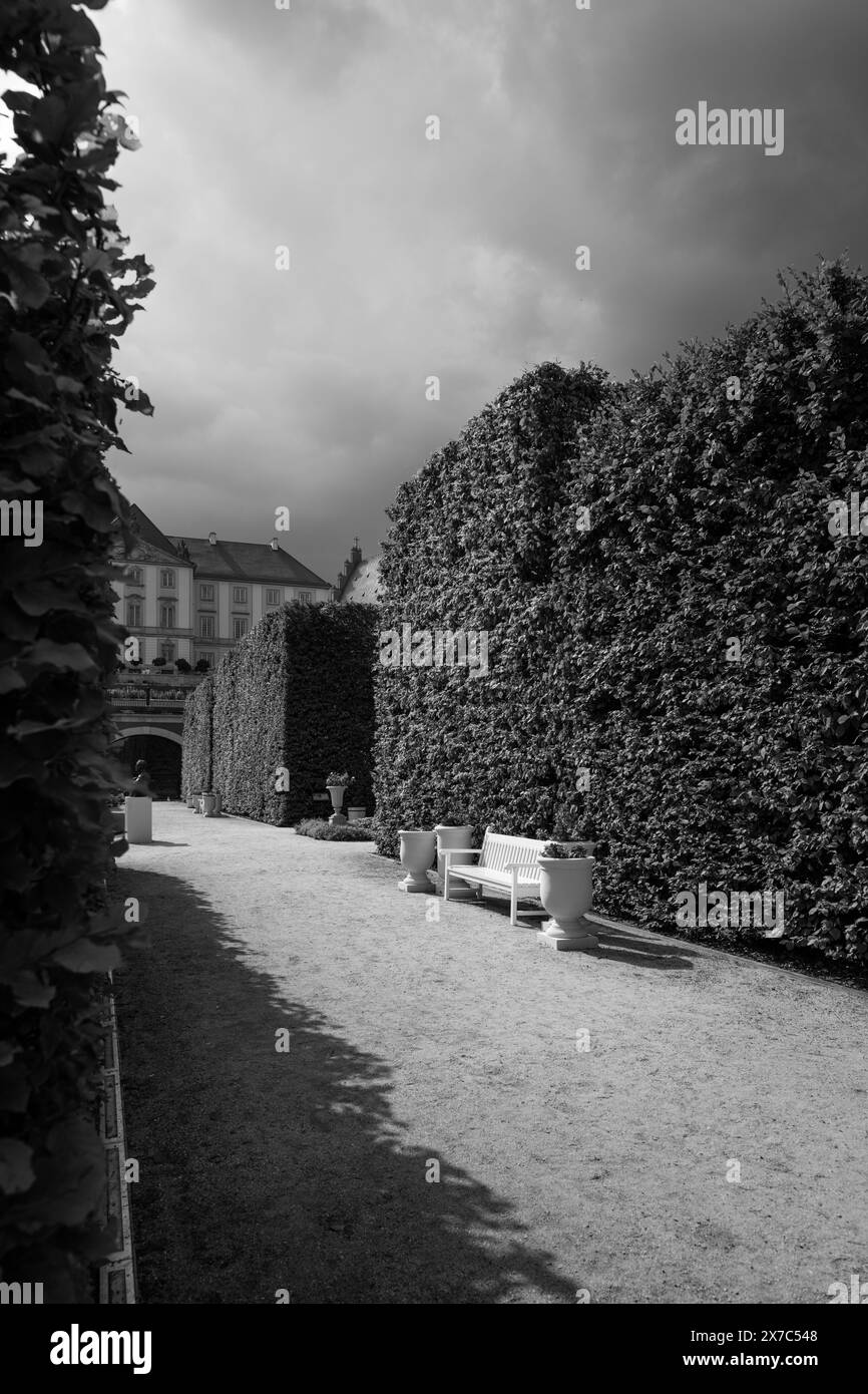 Hedges day Black and White Stock Photos & Images - Alamy