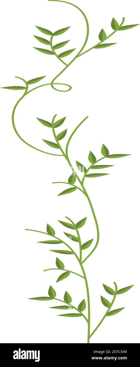Leaves creeper plant Stock Vector Images - Alamy