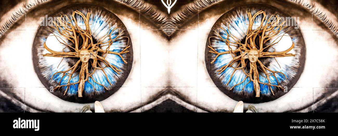 Eye pupil tree hi-res stock photography and images - Alamy