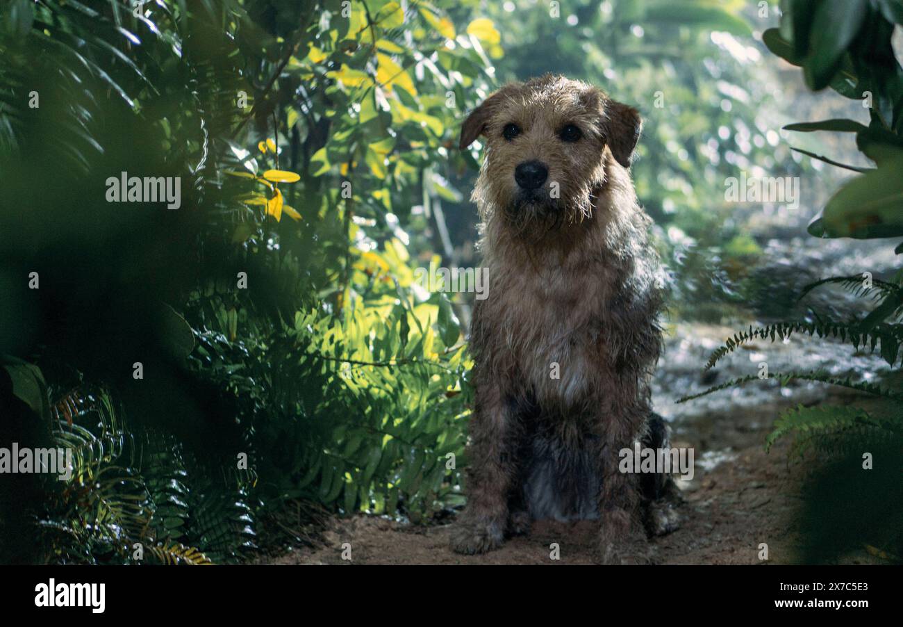 ARTHUR THE KING (2024), directed by SIMON CELLAN JONES. Credit ...