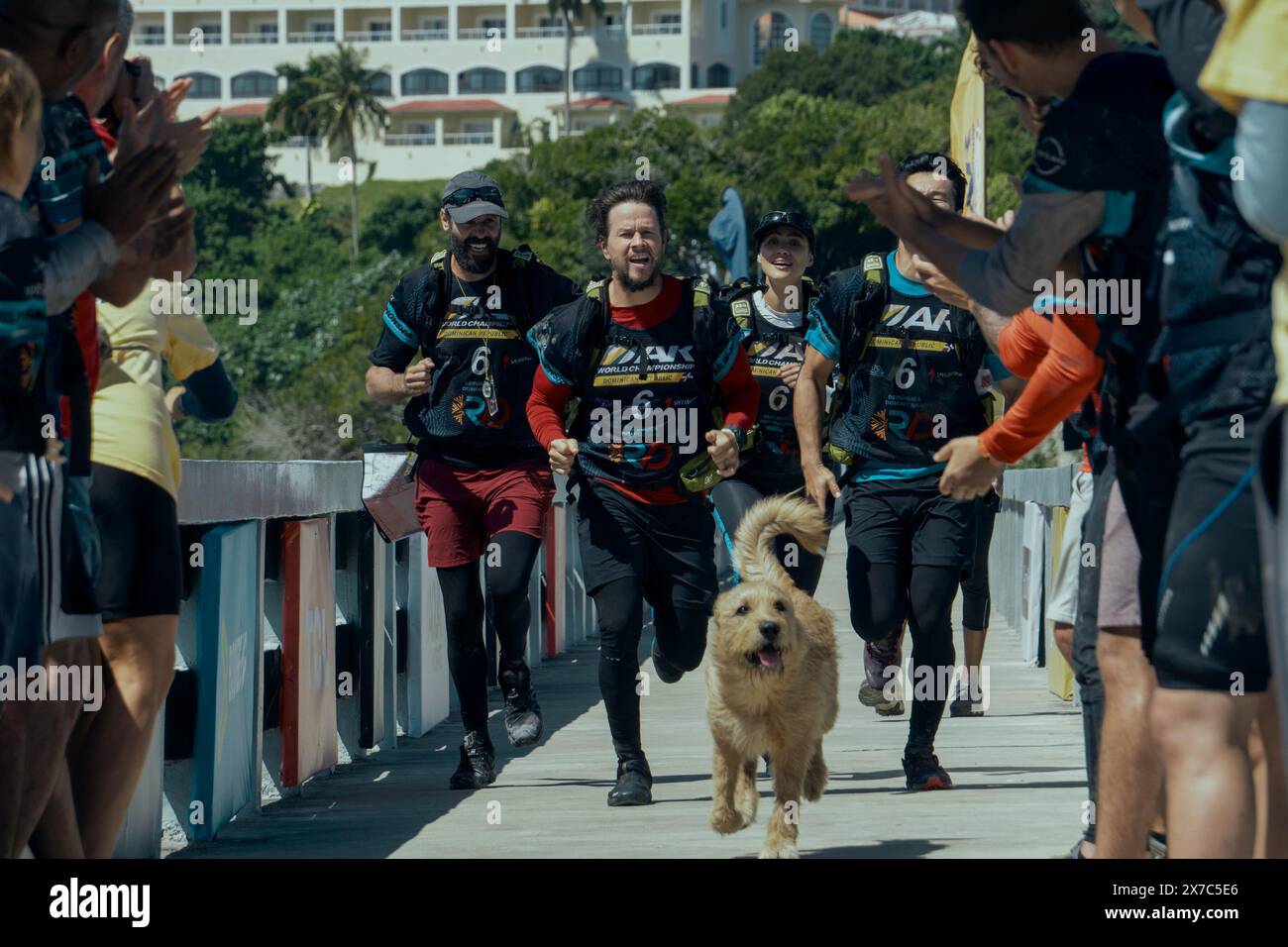 Arthur the king 2024 wahlberg hi-res stock photography and images - Alamy