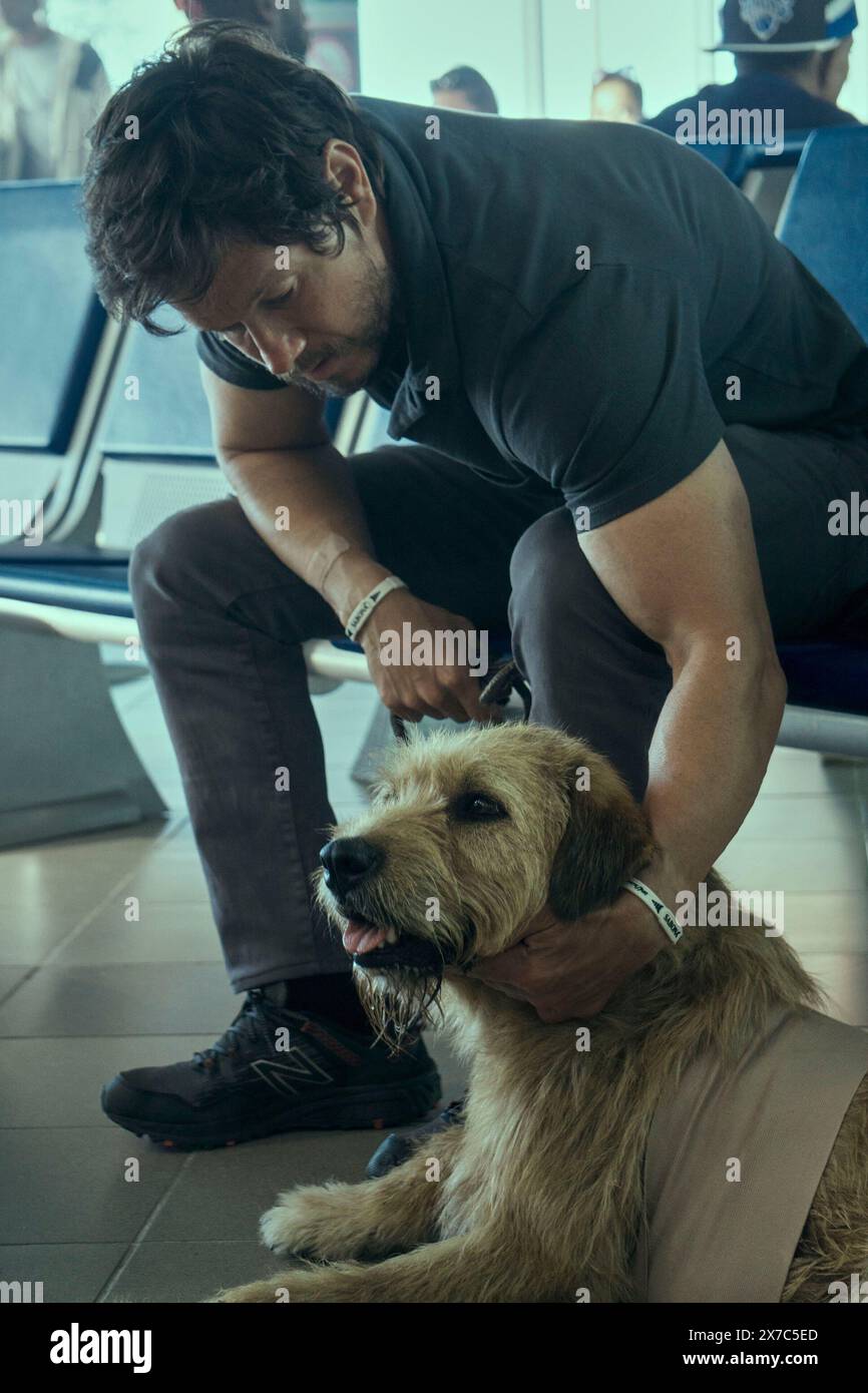 MARK WAHLBERG in ARTHUR THE KING (2024), directed by SIMON CELLAN JONES ...