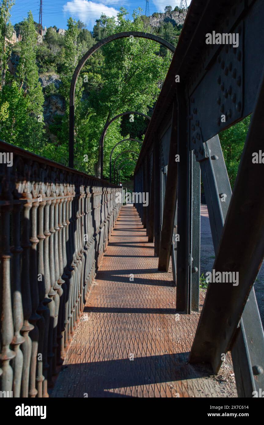 Estructura de la naturaleza hi-res stock photography and images - Alamy