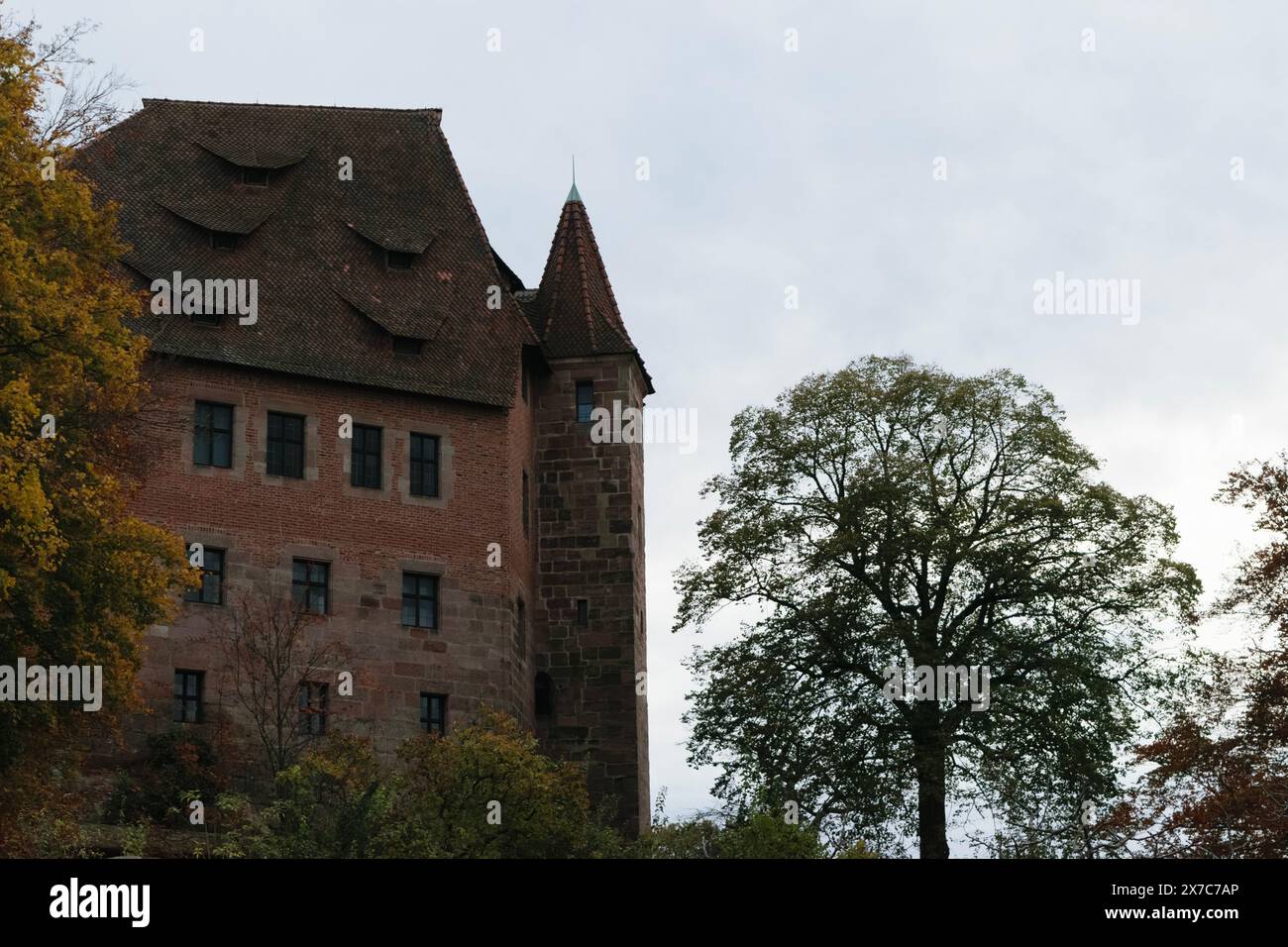 A historic brick castle with a tall tower and steep roofs, surrounded ...
