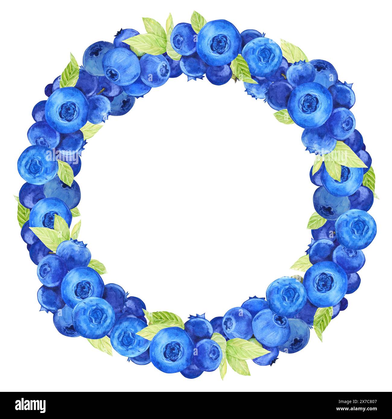 Blueberry wreath. Watercolor drawing by hand. Round frame of ripe juicy ...