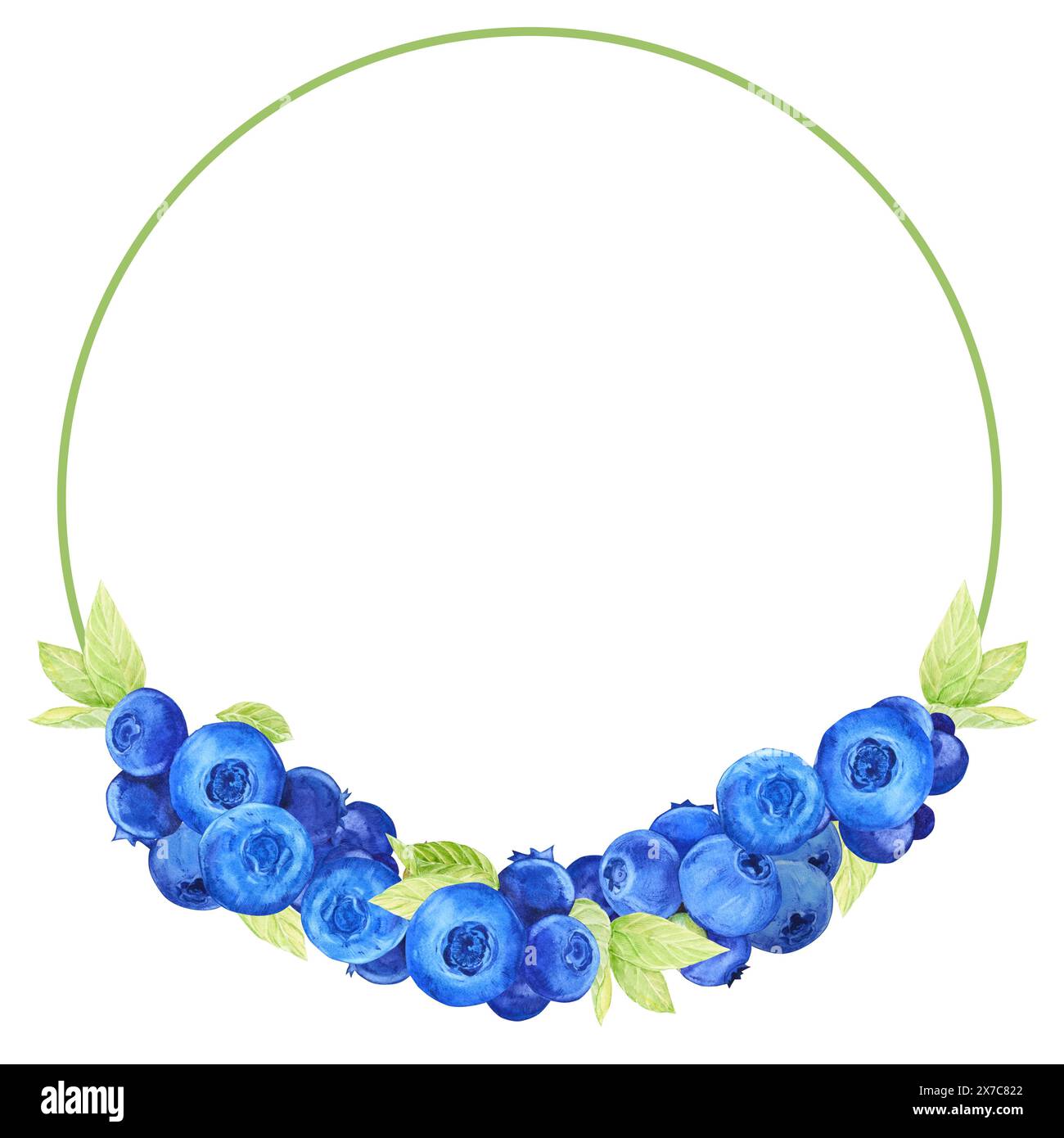 Blueberry wreath. Watercolor drawing by hand. Round frame of ripe juicy ...