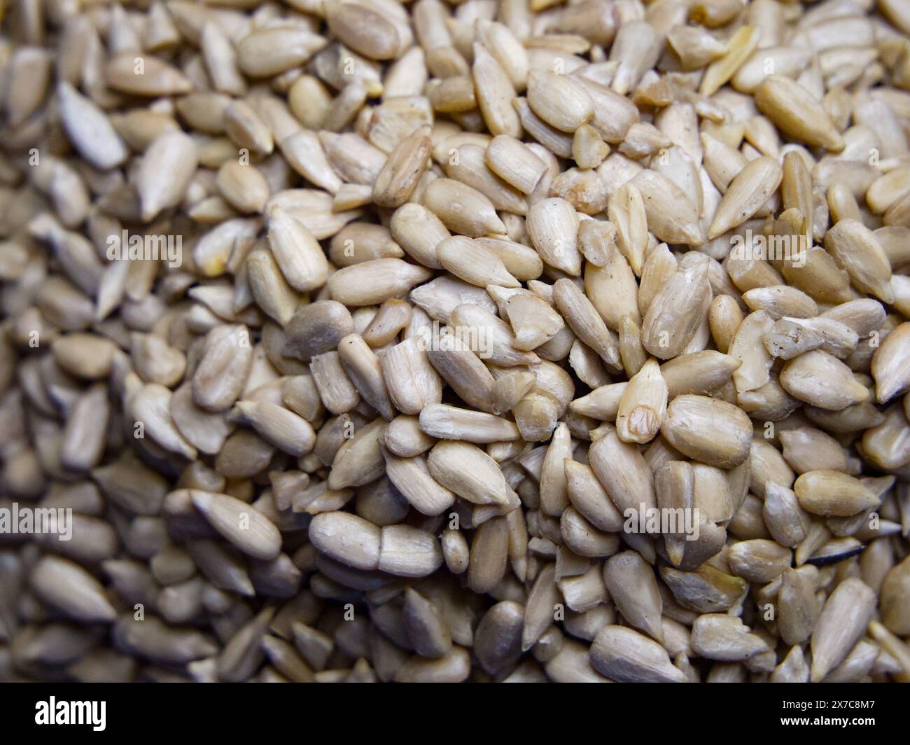 Natural Seed Pile. Sunflower seeds in natural state, perfect for ...