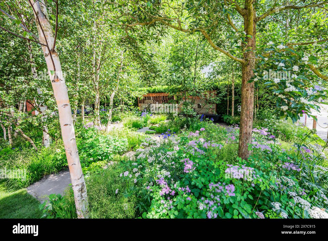 London, UK. 19th May, 2024. Muscular Dystrophy UK - Forest Bathing ...