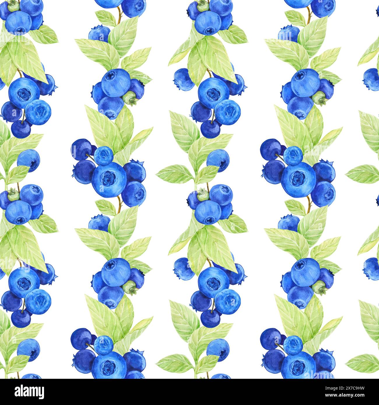 Blueberry watercolor pattern. Seamless pattern of ripe berries on a ...