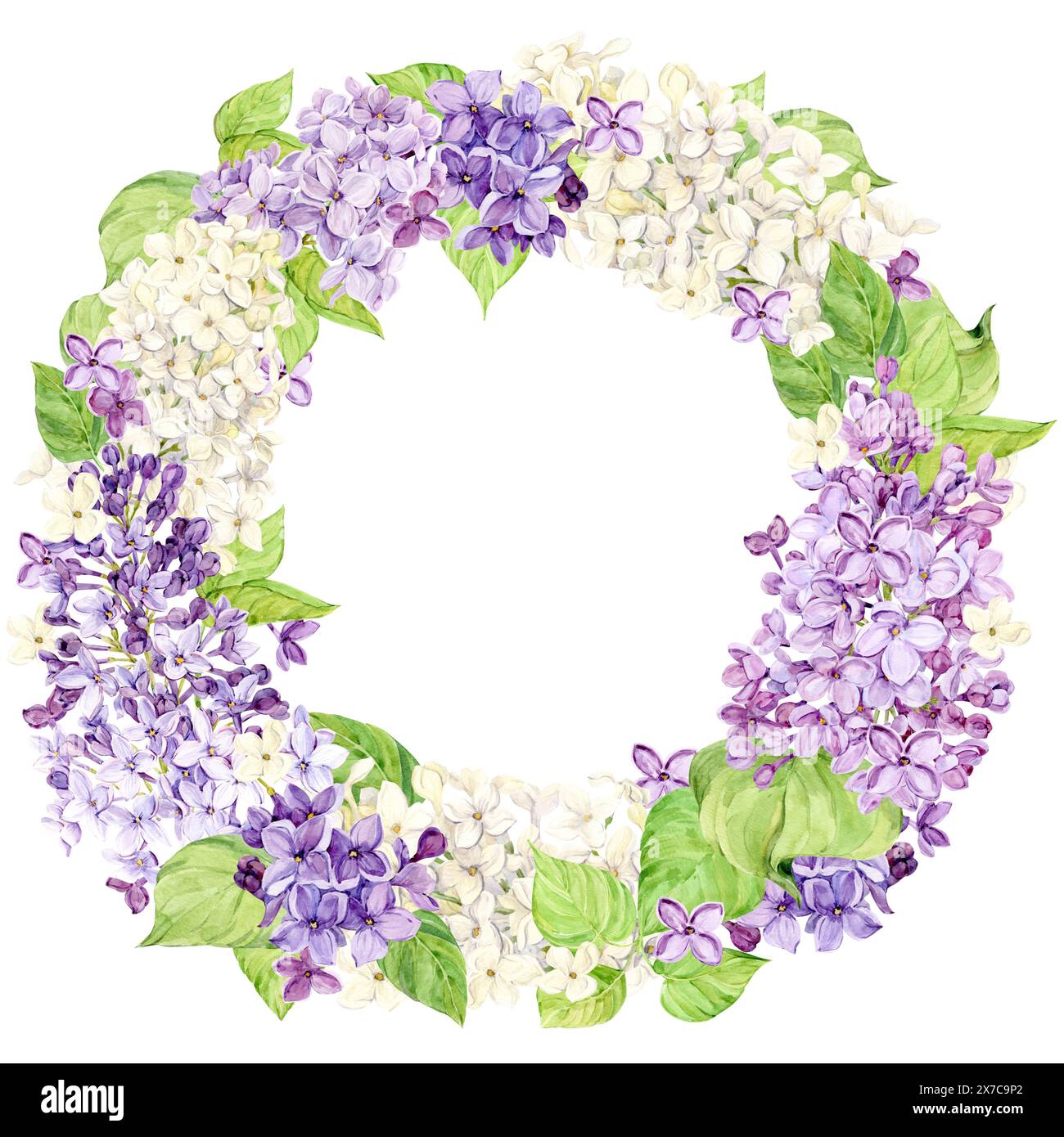 Watercolor lilac wreath. Round frame of spring pink, lavender, purple ...