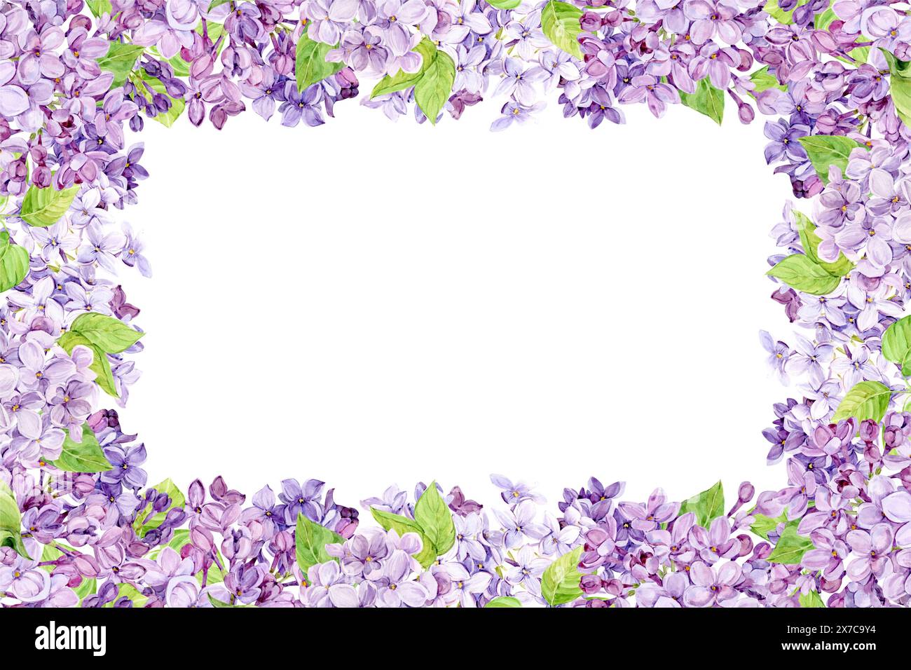 Watercolor horizontal frame with purple lilac on a transparent ...
