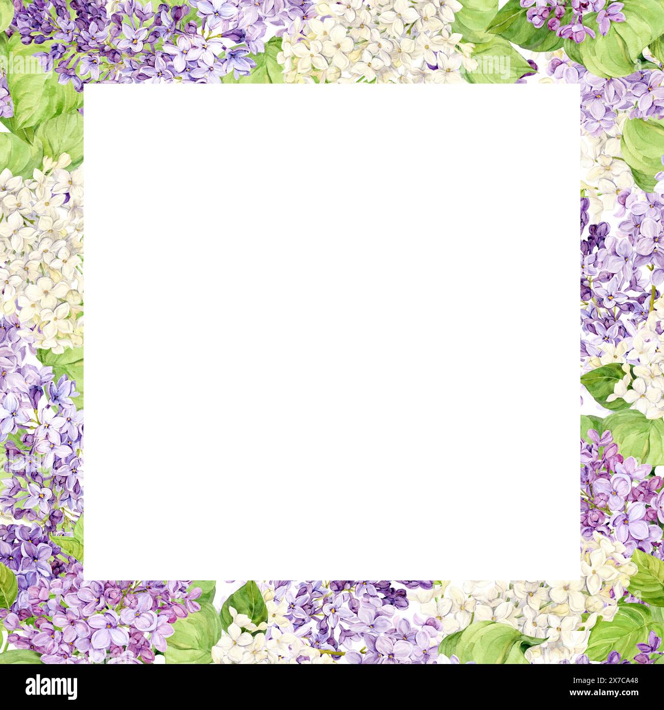 Square frame with spring flowers. Watercolor lilac for wedding ...