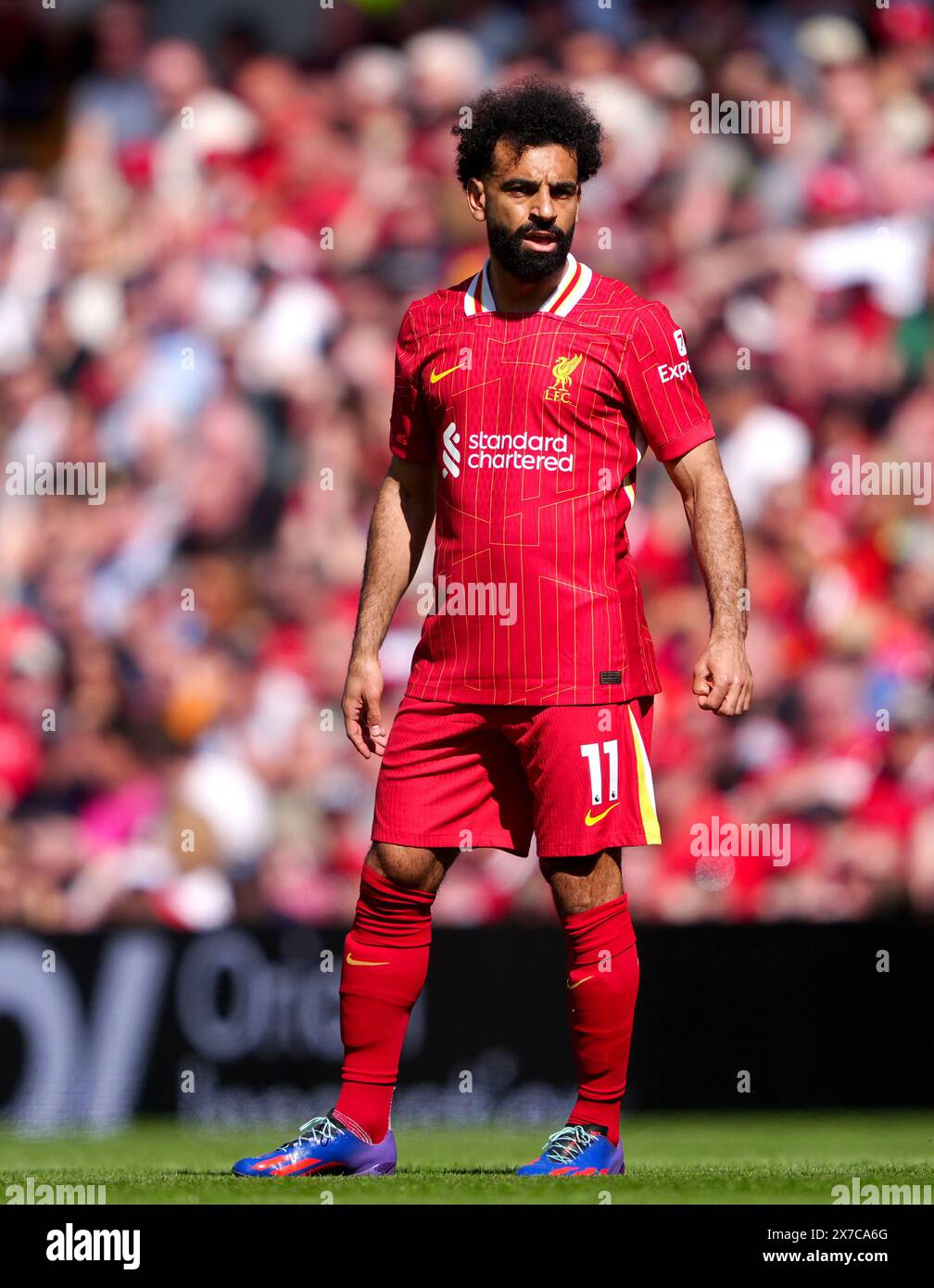 Liverpool's Mohamed Salah during the Premier League match at Anfield ...